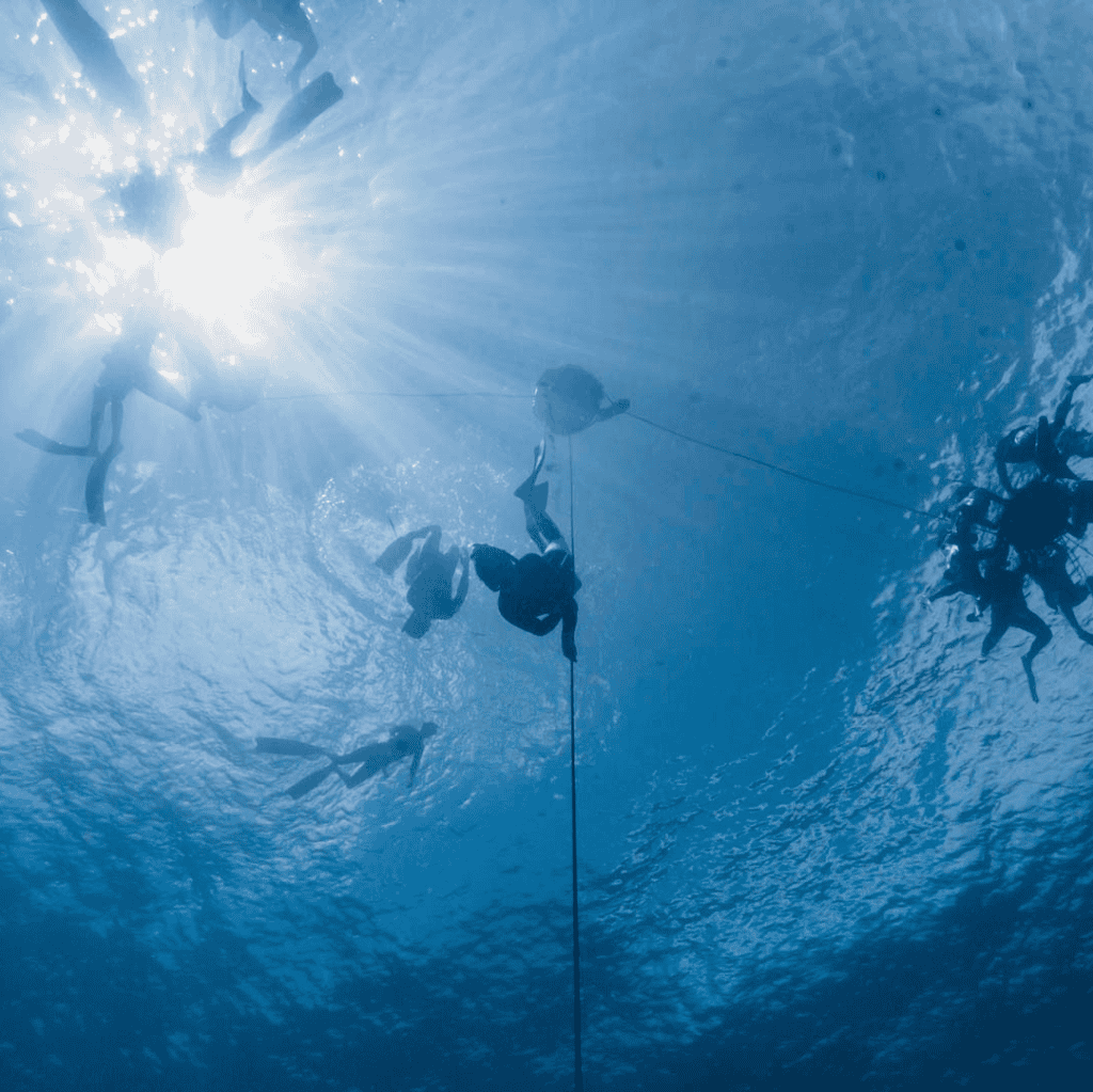 Dive into Serenity: Freedive Center Curacao | CuracaoTodo Dive into Serenity: Freedive Center Curacao | CuracaoTodo